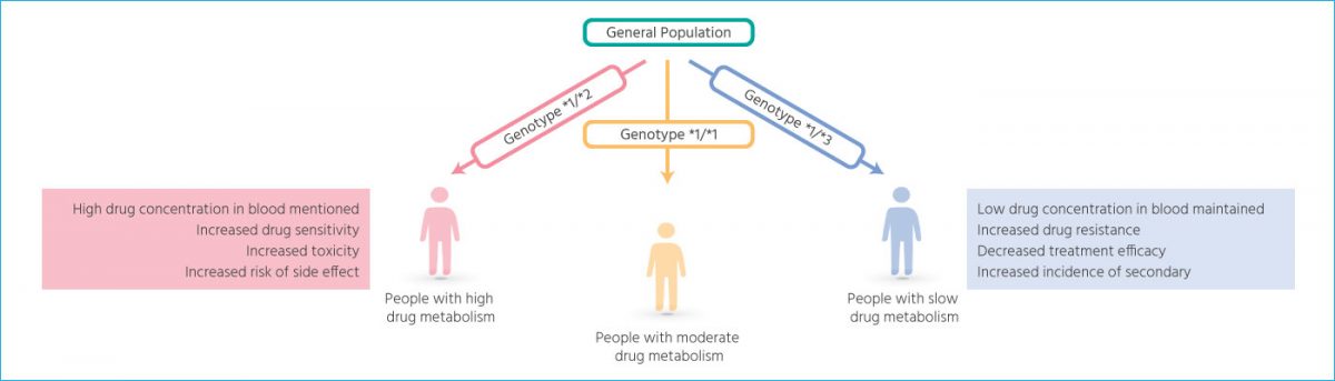 Pharmacogenetic Test – GC Genome