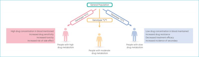 Pharmacogenetic Test – GC Genome