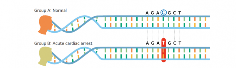 Genome Health – GC Genome