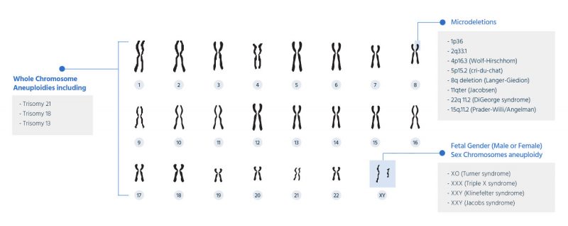G-NIPT – GC Genome