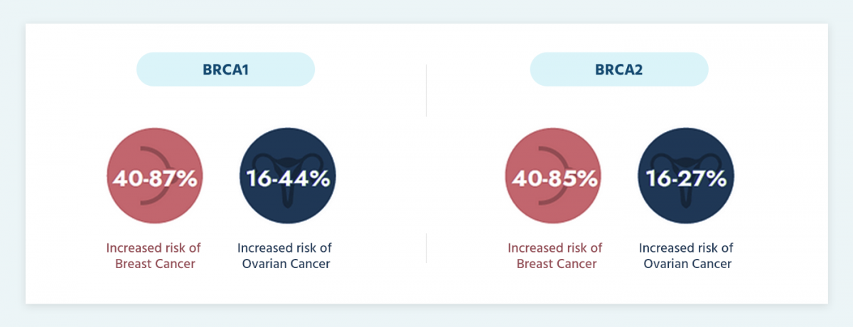 Women’s Cancer Panel – GC Genome