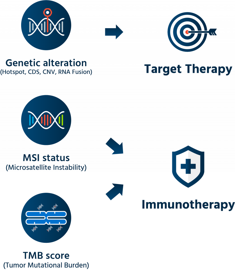 Solid Tumor Cancer Panel – GC Genome