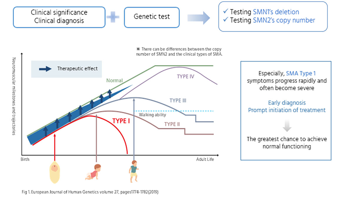 SMN1/2 – GC Genome