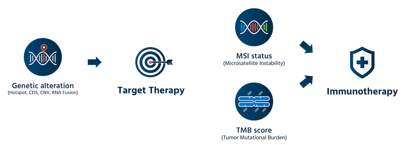 Solid Tumor Cancer Panel – GC Genome