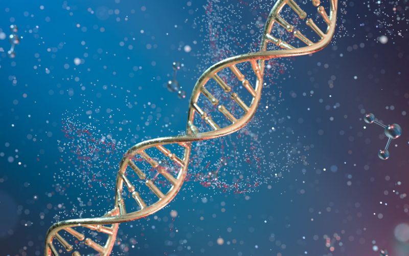 G-NIPT – GC Genome